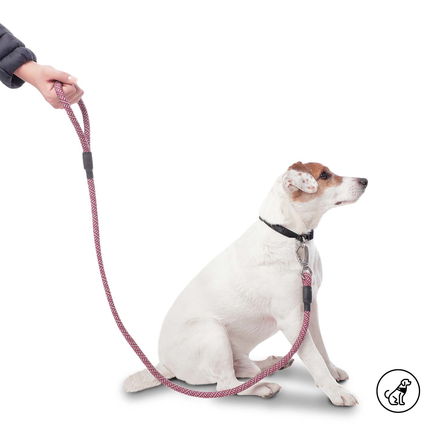 Correa para Perro Nolan